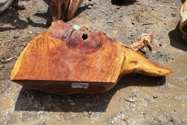 Quebracho – Premium Wood Slabs