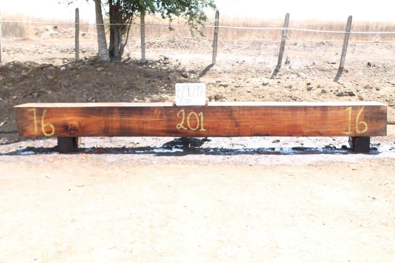 NEW! Wood Species Slabs Available – Premium Wood Slabs