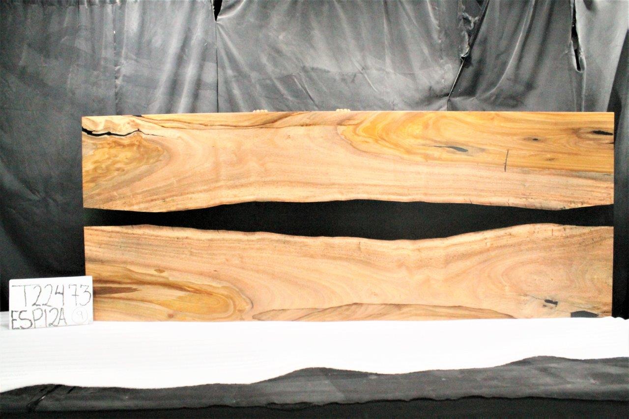 Wild Cashew Tree Wood / Espavel – Page 2 – Premium Wood Slabs